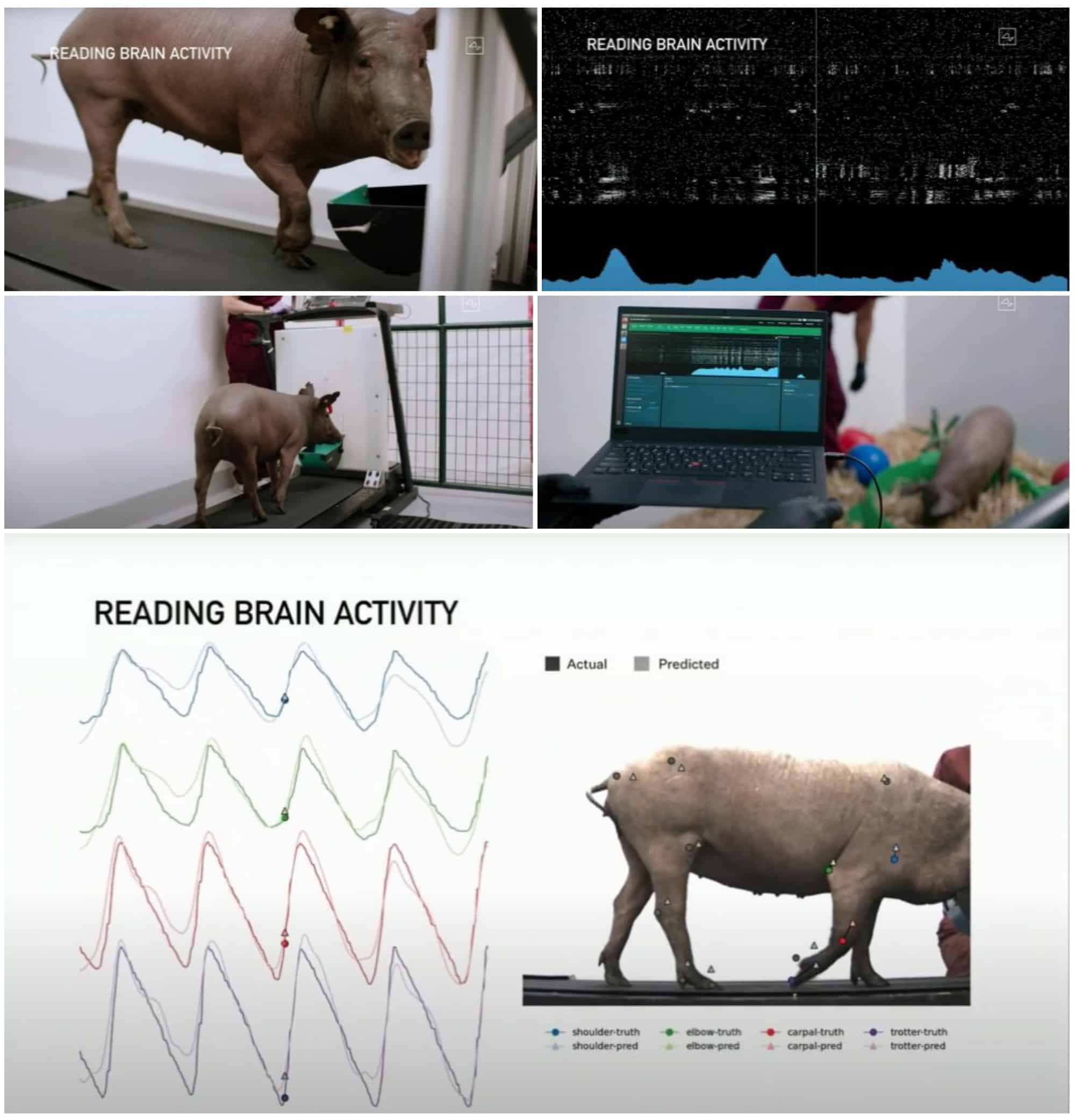 Elon Musk’s Neuralink unveils sleek V0.9 device, ‘V2’ implant robot ...