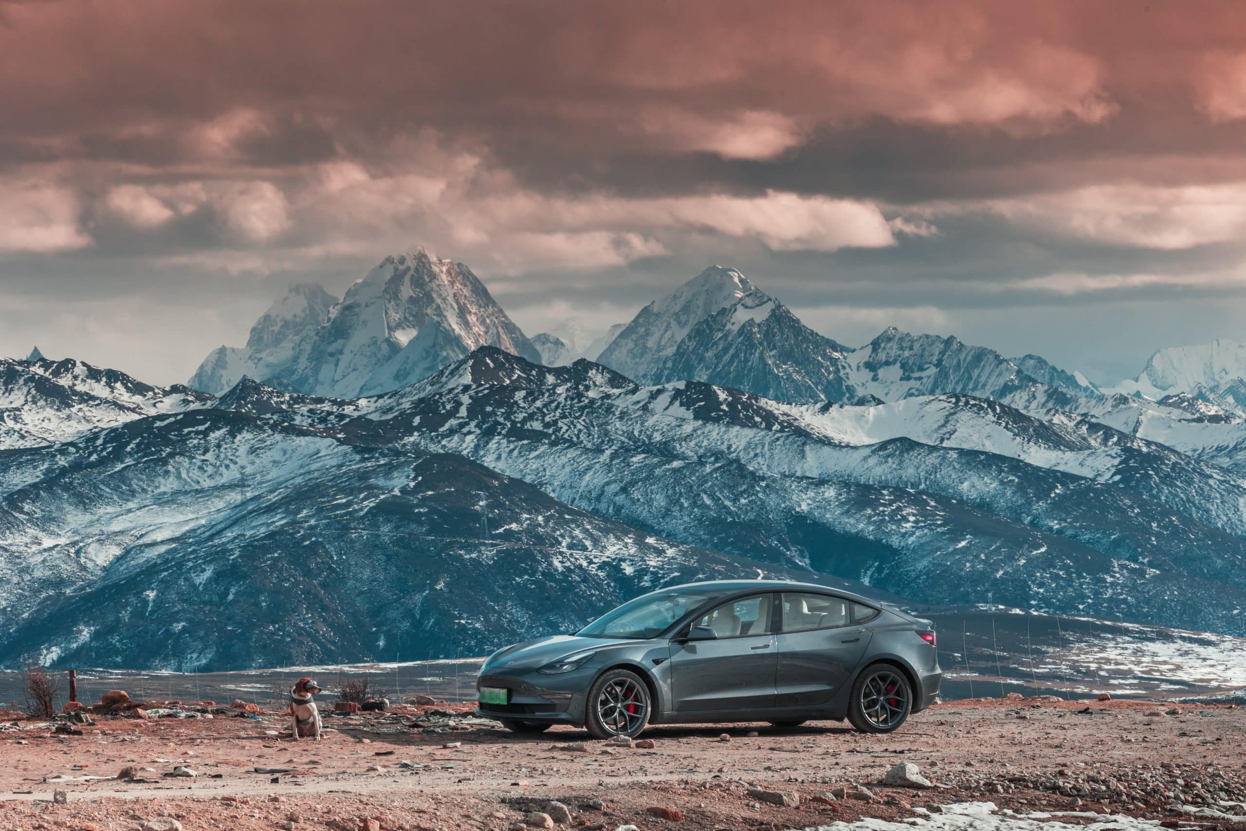 Tesla Lithium supplier remains on track for first export by the end of ...
