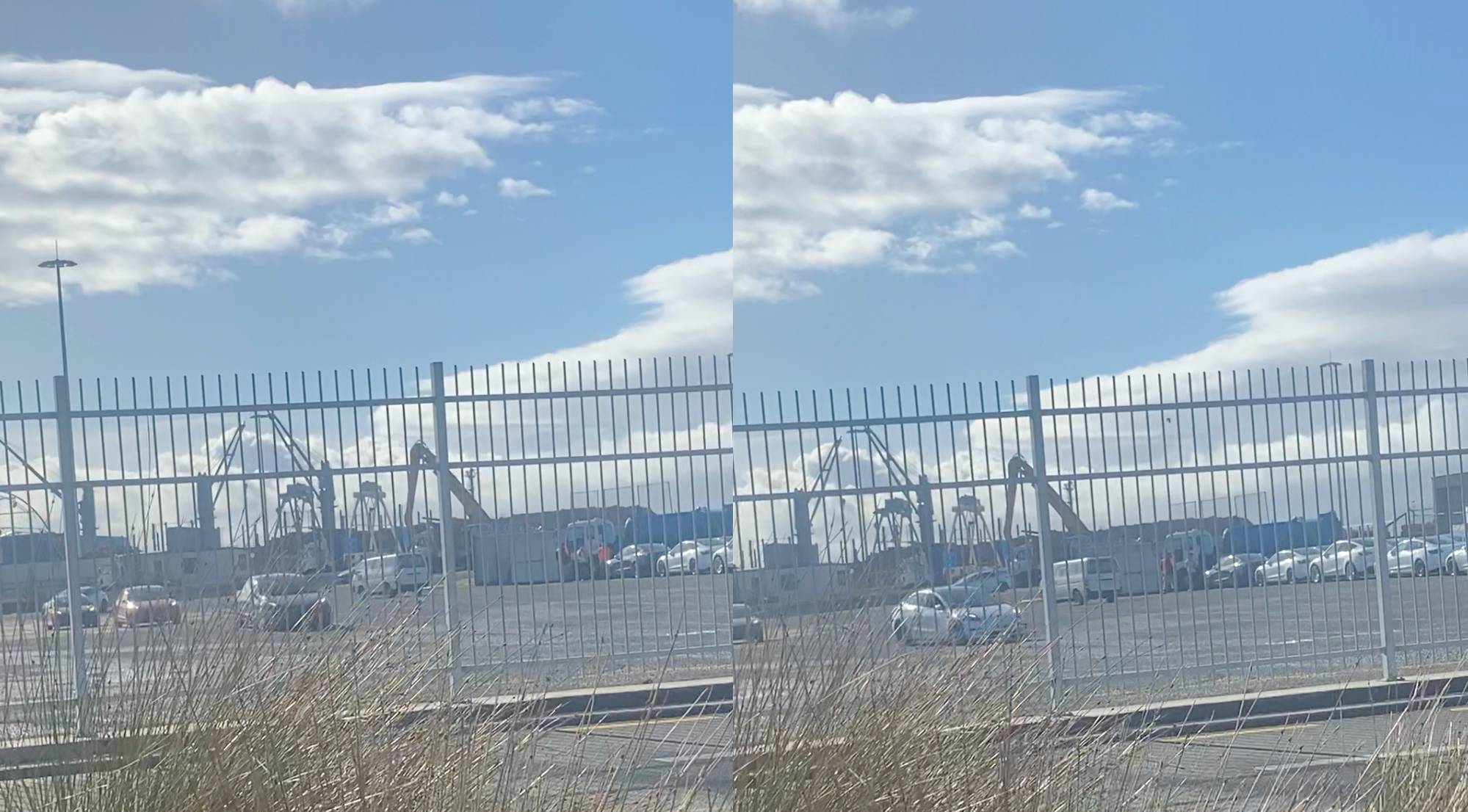 Tesla Model Y and Model 3 units arrive in Wellington, New Zealand ...