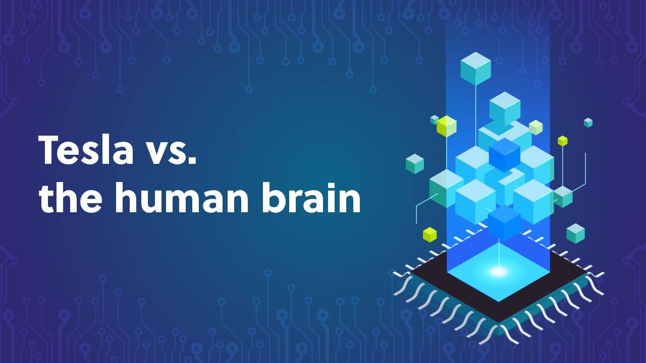 Tesla cars will be smarter than humans by 2033 – ilovetesla.com