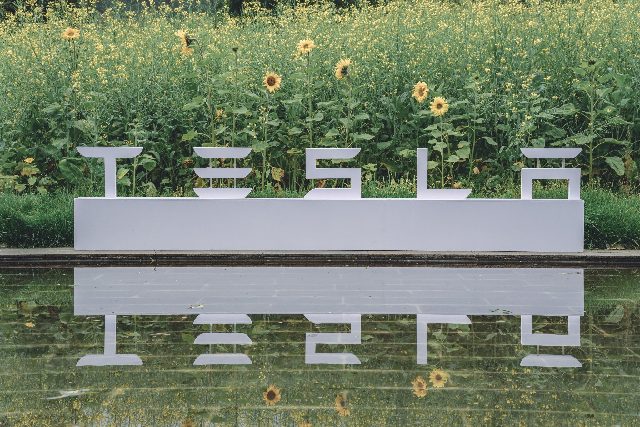 Tesla is building a new in-house, full-scale legal team – ilovetesla.com