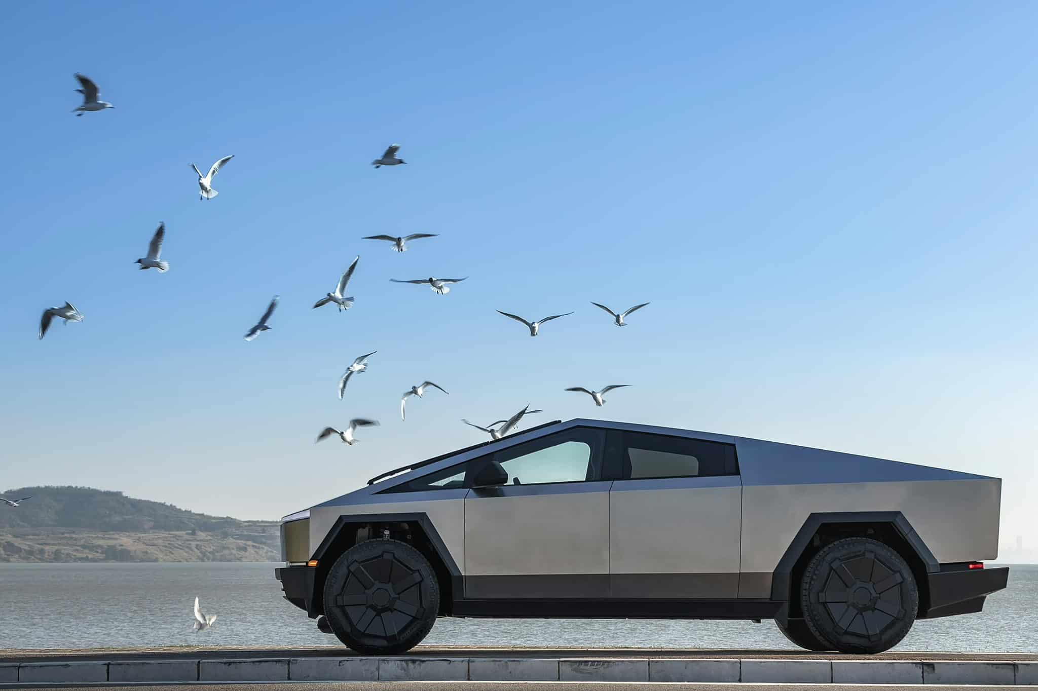 Tesla Cybertruck Dominates the High-End Vehicle Market in July 2024 ...