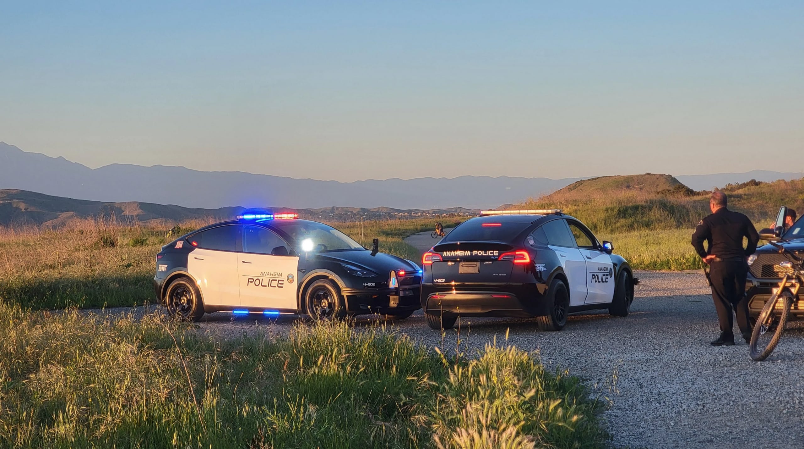 Revolutionizing Law Enforcement: Tesla Model Y Patrol Cars Take to the ...