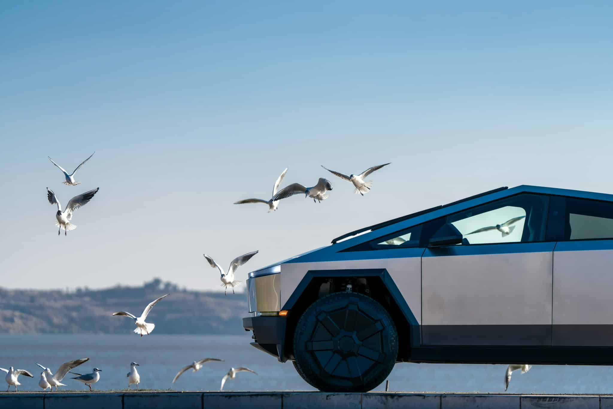 Tesla Cybertruck Shines at Porsche Autocross Event: A Deep Dive into ...