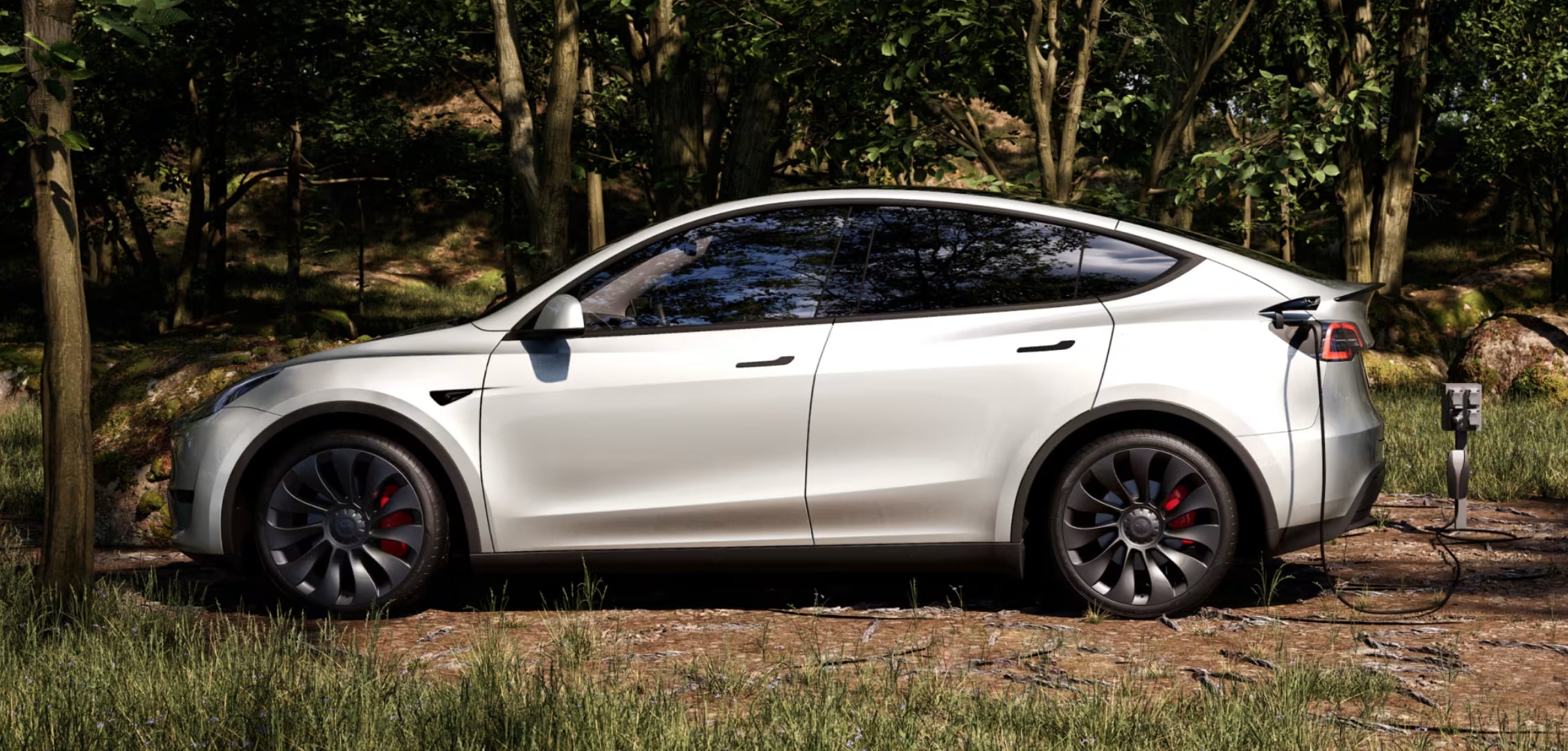 Tesla Model Y: Poised to Take the Crown of America’s Best-Selling ...