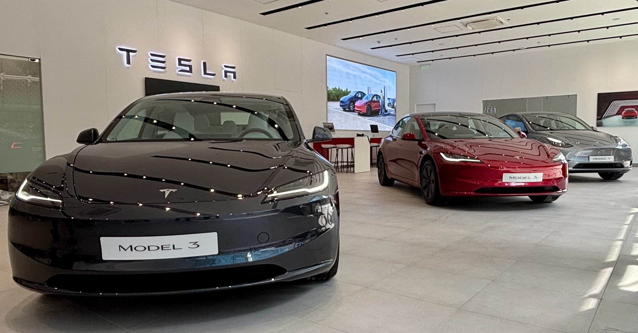 Accelerating the Electric Future: Tesla's Financial Landscape in the ...