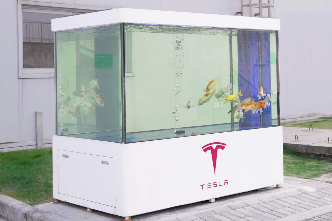 Tesla Giga Shanghai: Leading the Charge in Green Manufacturing ...