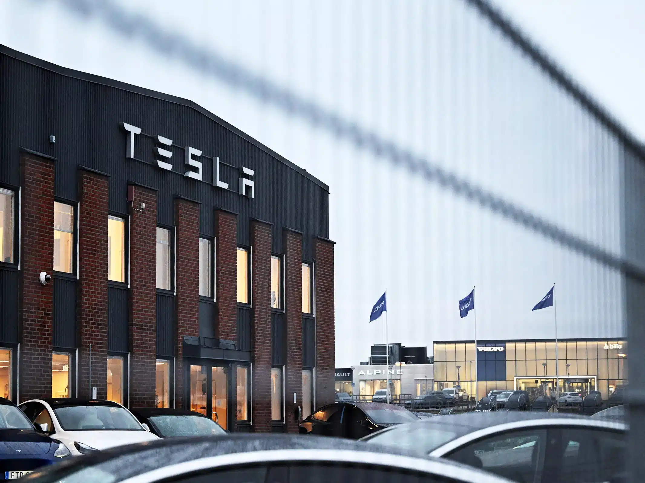 The Swedish Surge: Why Tesla’s Popularity Keeps Rising Despite ...